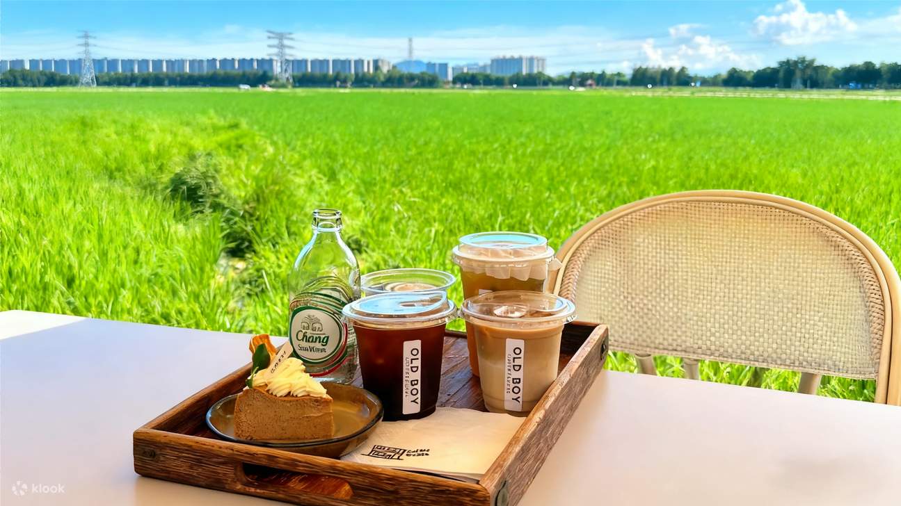 [Sabores del Delta del Río Perla] Pichón de Zhongshan/Carpa crujiente ...